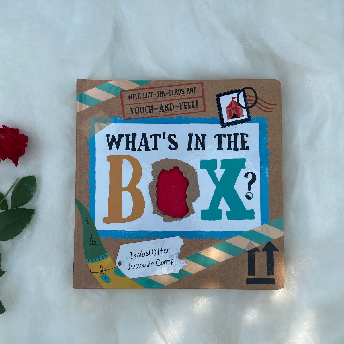 What's in the Box Children's Book – Zoey