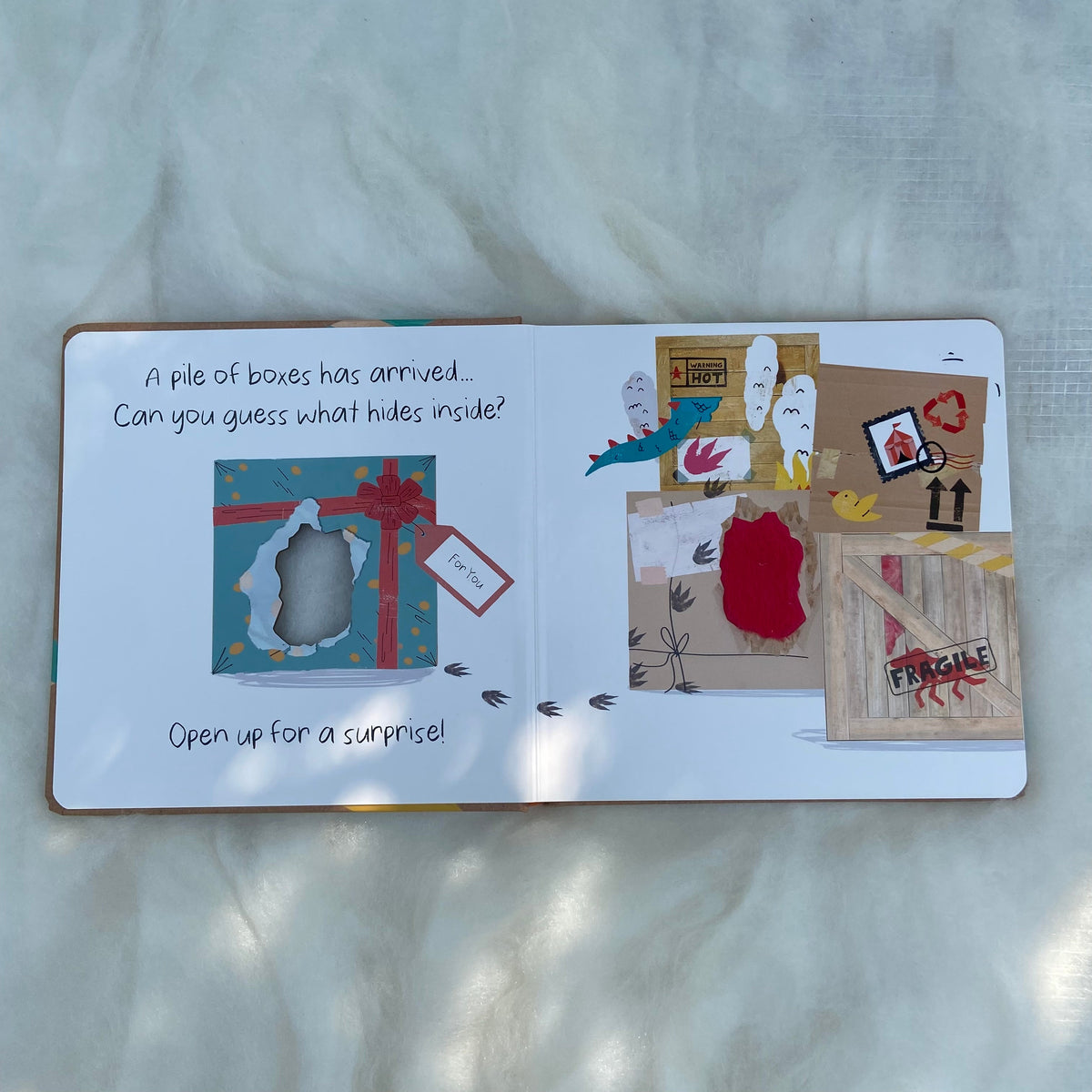 What's in the Box Children's Book – Zoey